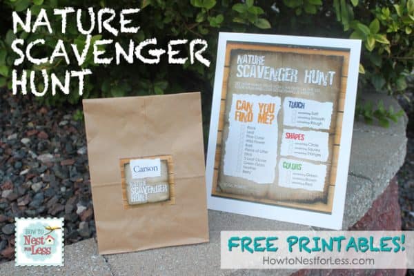 Summer Nature Fun - Design Dazzle