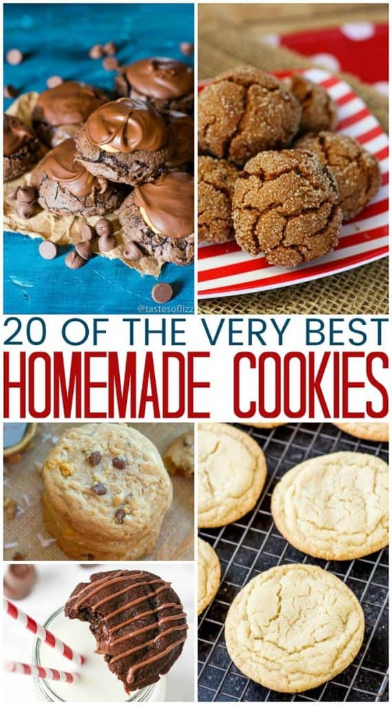 20 Delicious Homemade Cookies - Design Dazzle