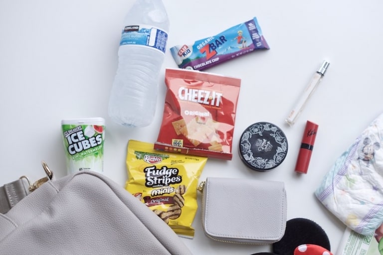Disney World Prohibited Items and What's Okay in the Parks - Design Dazzle