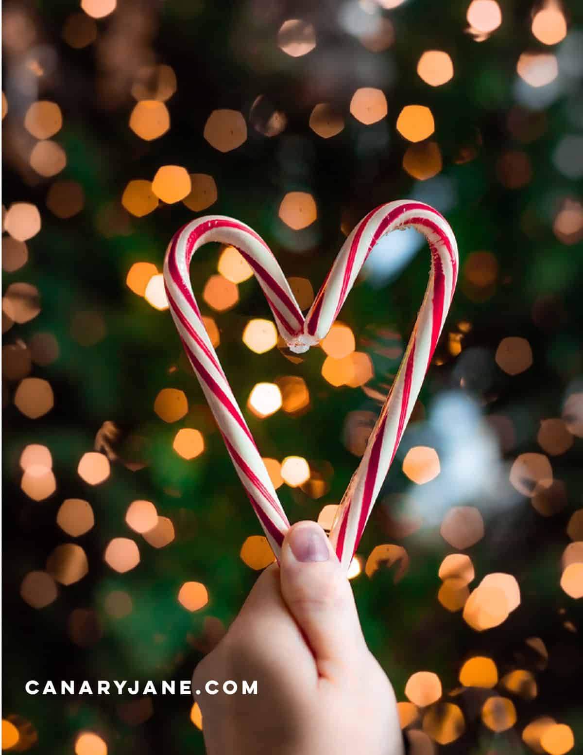 Magical Neighborhood Candy Cane Tree Idea - Design Dazzle