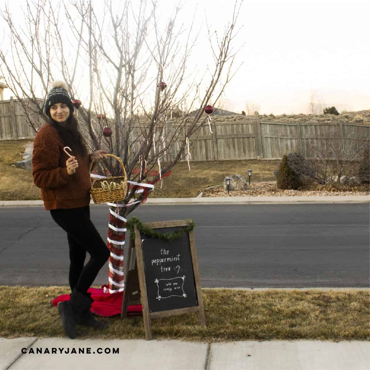 Magical Neighborhood Candy Cane Tree Idea - Design Dazzle