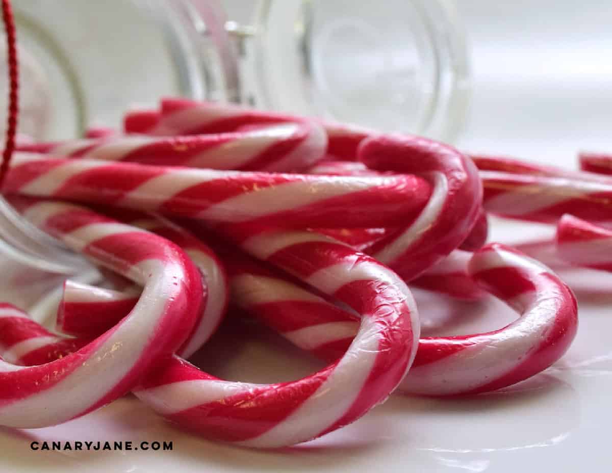 Magical Neighborhood Candy Cane Tree Idea - Design Dazzle